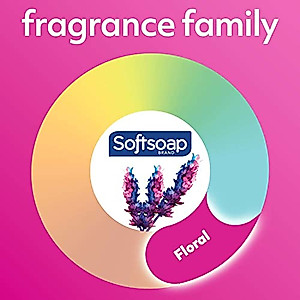 Softsoap Liquid Hand Soap, Soft Rose - 7.5 Fl Oz (Pack of 6)