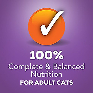 Purina Friskies Gravy Wet Cat Food, Shreds With Turkey & Giblets in Gravy - (24) 5.5 oz. Cans