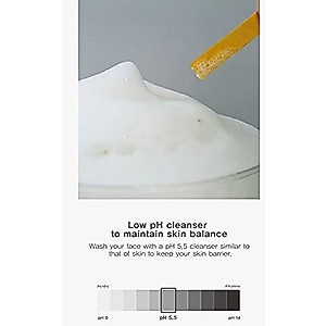 B_LAB Matcha Hydrating Foam Cleanser 120ml