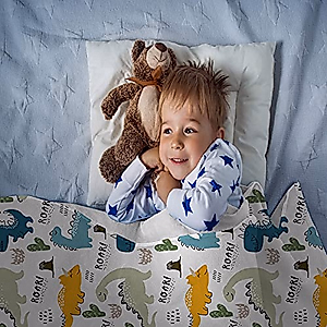 Dinosaur Blanket for Boys Girls, 300 GSM Soft Fleece Kids Blanket, Baby Boy Blanket is Suitable for Toddler Couch , Cute Blanket for Sofa Bedroom Living Room, Dinosaur Gifts for Children, 50"x40"