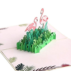 Paper Spiritz Flamingo 3D Pop up Greeting Card,3D Greeting Cards, Thank You, Happy Birthday, Mother's Day Cards,All Occasion, With Envelope