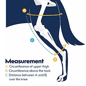 Balto Sport Agile CCL Brace – Knee Support for Dogs – Soft, Breathable Compression Wrap Helps Reduce Joint Inflammation – Right Leg, Large