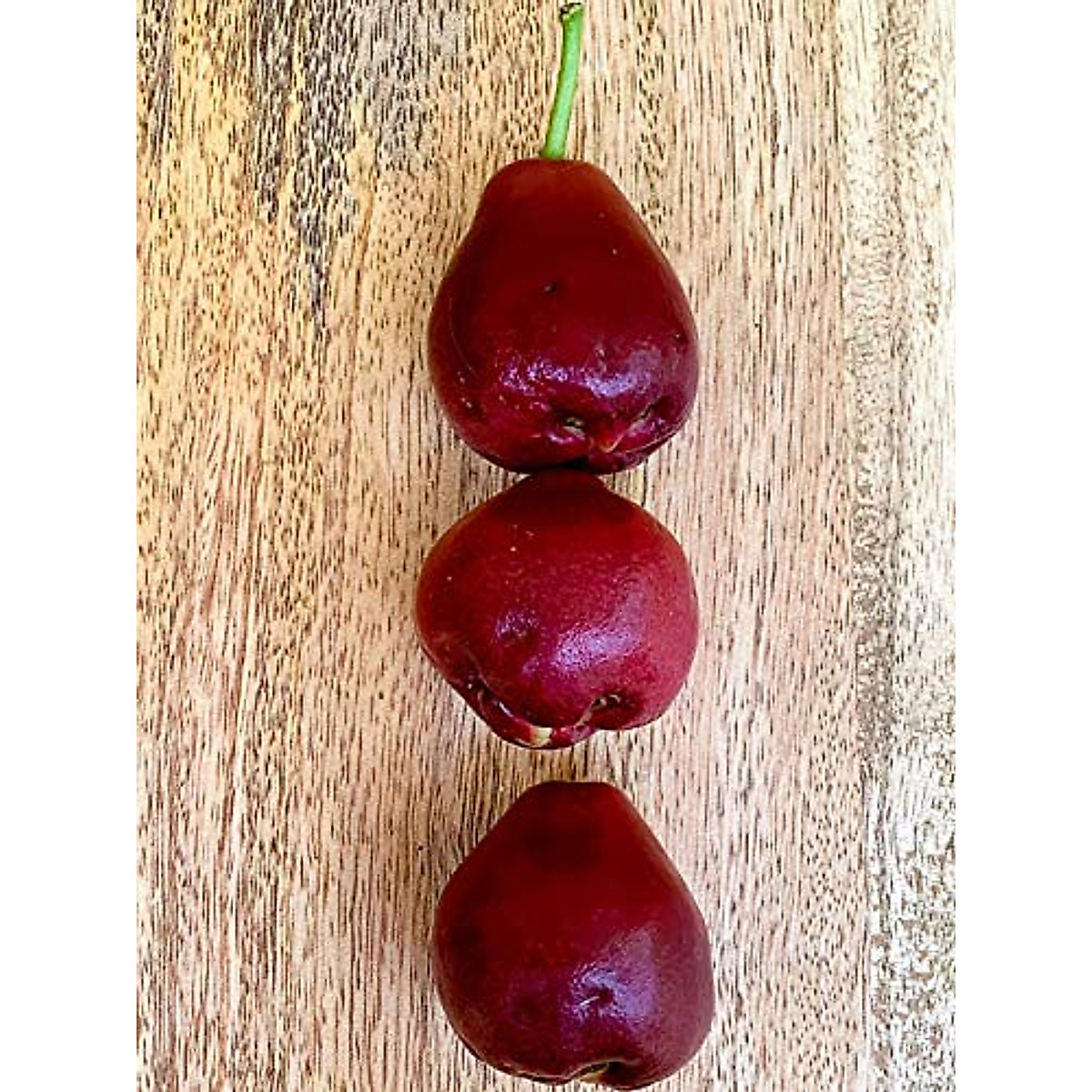 Purple Malay Apple Syzygium malaccense Fruit Tree Starter Potted Plant Very Rare