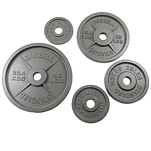 Multiple Olympic Weight Plates, Barbell Weights Bumper Plates 2 Inch Grip Single Pair & Set Rubber Cast Iron Weight Plates for Weightlifting Home Gym (Cast Iron D 2pc 5LB)
