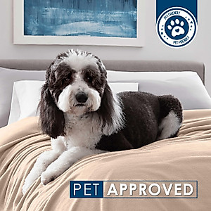 Martex 1B06849 Super Soft Fleece Lightweight Reversible Cozy Warm Sofa Blanket Low Lint Luxury Hotel Style All Seasons Layering Solid Pet Friendly Twin Size Bed and Couch Blankets, Twin, Beige