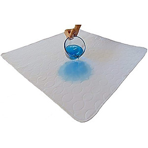 Posh Mattress Pad Protector 2 Pak 34x36 Incontinence Potty Training Pets
