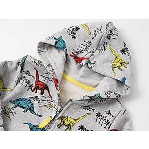 HUAER& Baby Boys' Cotton Cartoon Fox Zip Front Jacket Hoodie Sweatshirt (2-3T, Dinosaur)