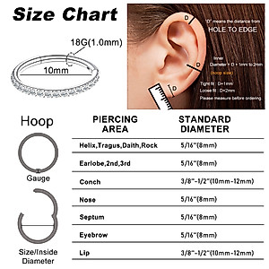 SAILIMUE G23 Titanium CZ Nose Rings Hoop for Women 18G 16G Clicker Hinged Segment Septum Lip Rings Tragus Conch Helix Cartilage Rook Daith Earrings Hoop Piercing Jewelry Diameter 6mm 8mm 10mm Silver