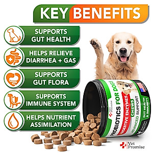 Probiotics for Dogs - Dog Probiotics and Digestive Enzymes for Gut Health, Itchy Skin, Allergies, Immunity, Yeast Balance - Prebiotics - Reduce Diarrhea, Gas - 120 Probiotic Chews Supplement for Dogs