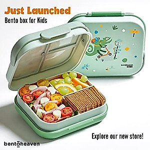Bentoheaven Premium Bento Box Adult Lunch Box with 2 Compartments (40oz), Cutlery & Set of Chopsticks, Large Dip Container, Cute Black Japanese Bento Box, Rectangle, Microwavable (Billie Green)