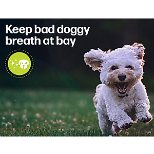 Fido Naturals Doozie Bones Dental Care Treat for Dogs, Peanut Flavored, Made with Sunflower, Chia, & Flax Seeds-Naturally Freshens Breath, Reduces Plaque & Whitens Teeth 21ct - Mini Treats (Pack of 3)