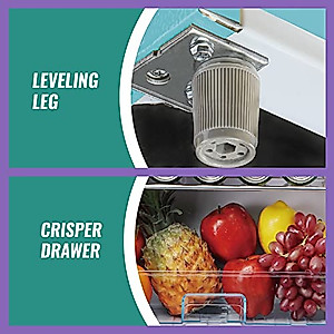 WANAI Compact Refrigerator 3.2 Cu.Ft Classic Retro Refrigerator 2 Door Mini Refrigerator Adjustable Remove Glass Shelves Refrigerator Suitable for Dorm Garage and Office