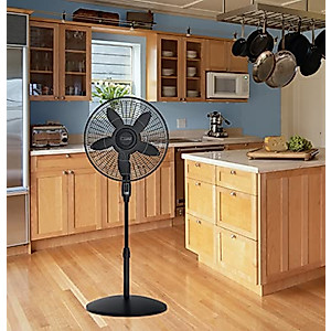 Lasko S18440 Performance 18-inch Oscillating Pedestal Standing Floor Fan with Remote Control and Adjustable Stand for Indoor, Bedroom, Living Room, Home Office & College Dorm Use – Black