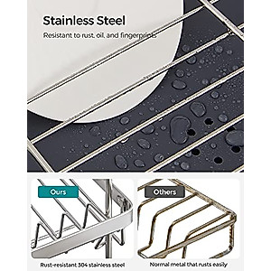 SONGMICS Dish Drying Rack - 2 Tier Dish Rack for Kitchen Counter with Rotatable and Extendable Drain Spout, Dish Drainer with Utensil, Cup, Glass, Cutting Board Holders, Gray UKCS032E01