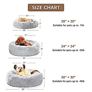 OYANTEN Small Dog Bed Large Cat Bed - Cat Beds for Indoor Cats, Calming Donut Kitty Bed, Round Pet Beds for Small Medium Cats, Soft Fluffy Warm and Cozy (20in, Misty Gray)