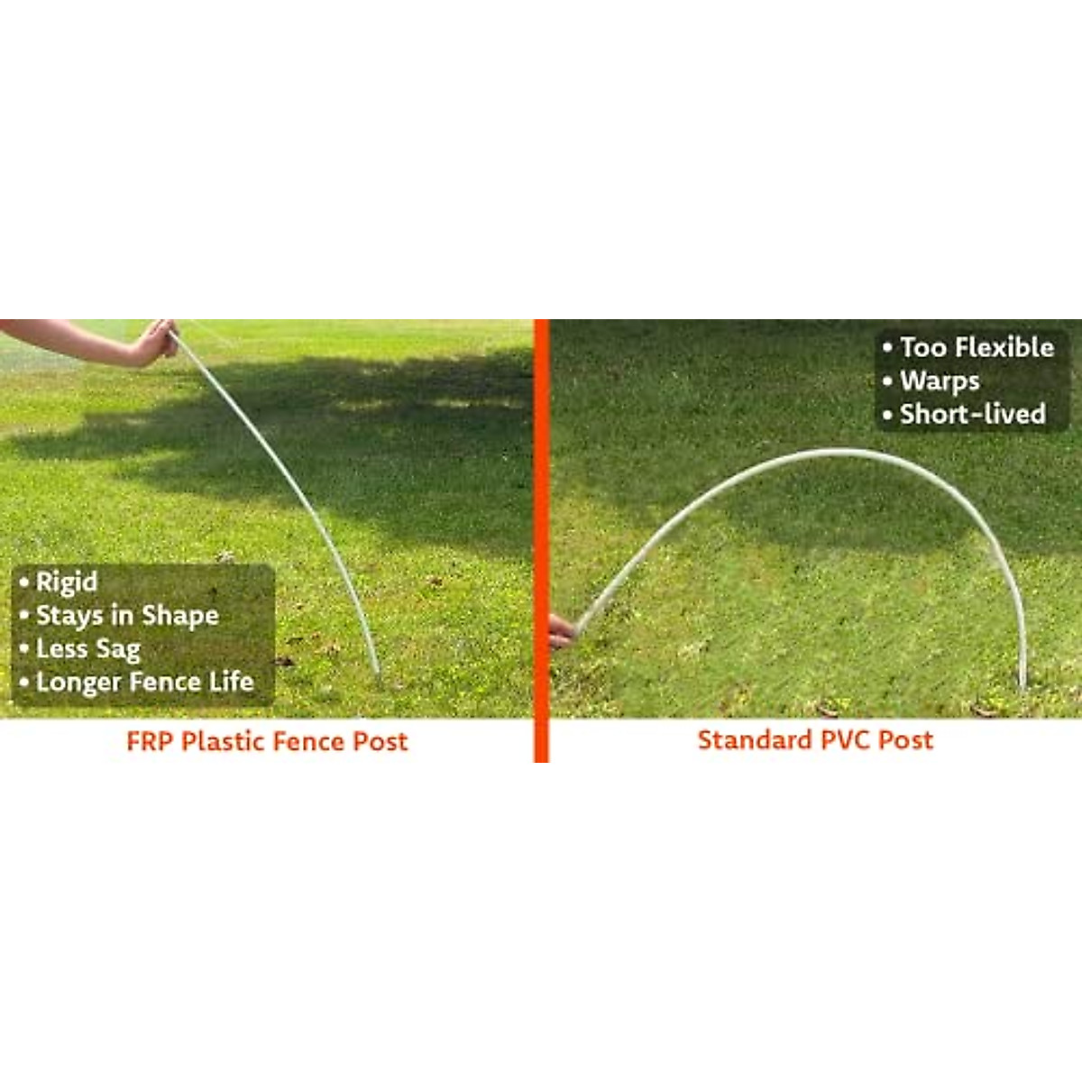 RentACoop Poultry Netting Electric Fence - Electric Poultry Enclosure for Chickens, Ducks, Turkeys - Suitable for 4 Week Old Chickens/Older and Adult Poultry - Energizer Not Included - 168' L x 48" H