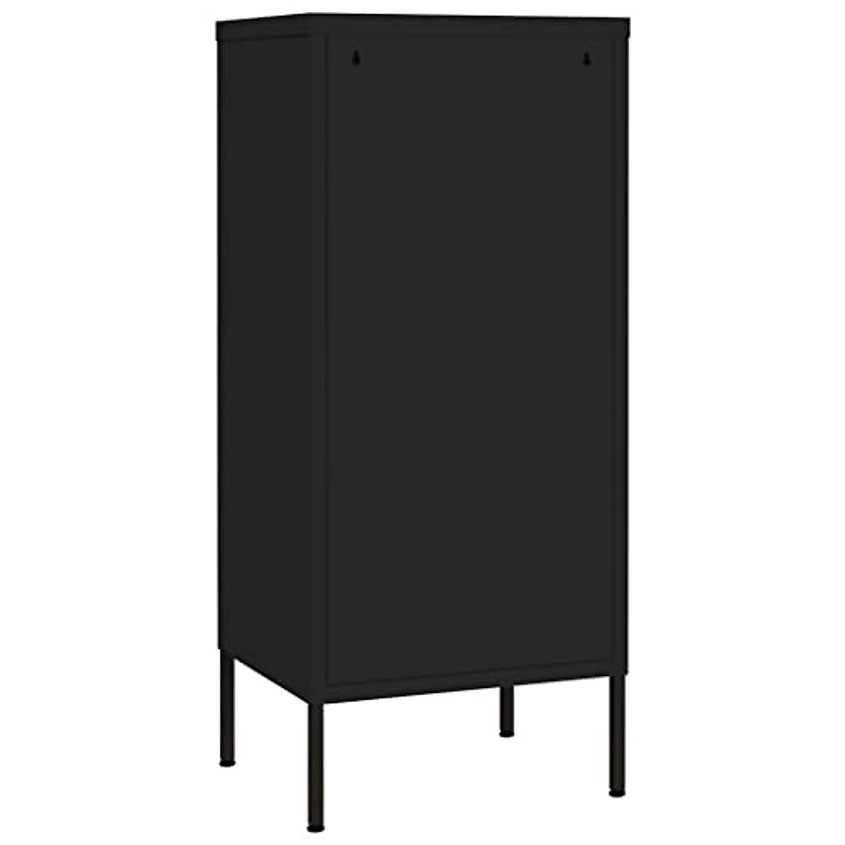 GOLINPEILO Metal Storage Cabinet with Single Doors and 2 Adjustable Shelves, Steel Garage Storage Cabinet File Cabinet Counter Cabinet for Home Office, Garage, Gym, School, 16.7"x13.8"x40" Black