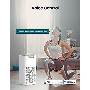 WELOV P200 PRO Air Purifiers with Pet Care Filter Bundle: Up to 1570 Ft² in 1 Hr With Air Quality Monitor, Smart WiFi, Alexa Control