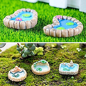 Trasfit 5 Pieces Fairy Garden Miniature Pond Ornaments Kit for Miniature Garden Accessories, Home Micro Landscape Decoration