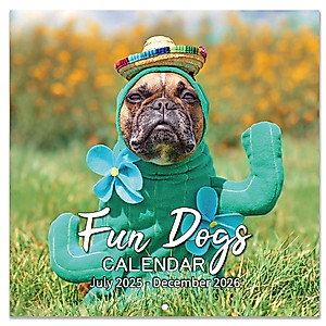 2023-2024 Wall Calendar - Cute Puppies Wall Calendar 2023-2024, Fun Dogs Wall Calendar, Jan. 2023 - Jun. 2024, 12'' x 12'' (Closed), 12'' x 24'' (Open), Dog Calendar, Hanging Hole, Holidays