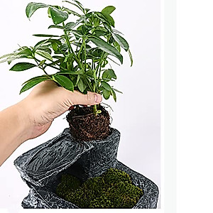 Flushbay Turtle Basking Platform Tortoise Resting Rock Climbing Rock Resin Aquarium Landscape Rock Decoration Reptile Habitat Ornament for Turtle, Newt, Frog, Lizard, Bearded Dragons