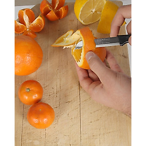 Solingen Paring Knife 12 pcs Fruit Knife Vegetable Knife Set Razor-Sharp Lightweight 3-inch Serrated Paring Knife Made in Germany (HOLE PATTERNED)