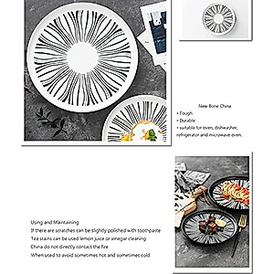 ROLTIN Dessert Dishes Plates Creative Porcelain Dinner Plates Set of 4 Black and White Multiple Stripes Patterns Ceramic Desserts Plate for Steak Salad. Microwave Dishwasher Saf
