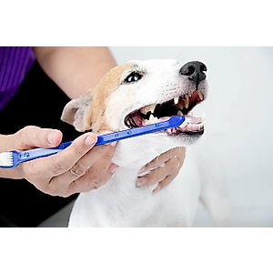 Duke's Pet Products Two-Piece Dog Toothbrush Set: Double Sided Canine Dental Hygiene Brushes with Long 8 1/2" Handles and Super Soft Bristles, Blue