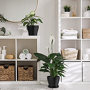 Whonline 20pcs 6.6 Inch Plastic Flowers Pots for Plants, with Drainage Holes and Saucers for Indoor Plants, Outdoor Clearance, Seeding Nursery, Succulents