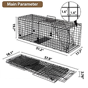 Toriexon Large Live Catch Animal Traps Black 51.2 x 19.7 x 17.7 inch, Easy to Set and Release Live Animal Trap, Collapsible Large Animal Catcher Cage for Large Dogs, Foxes
