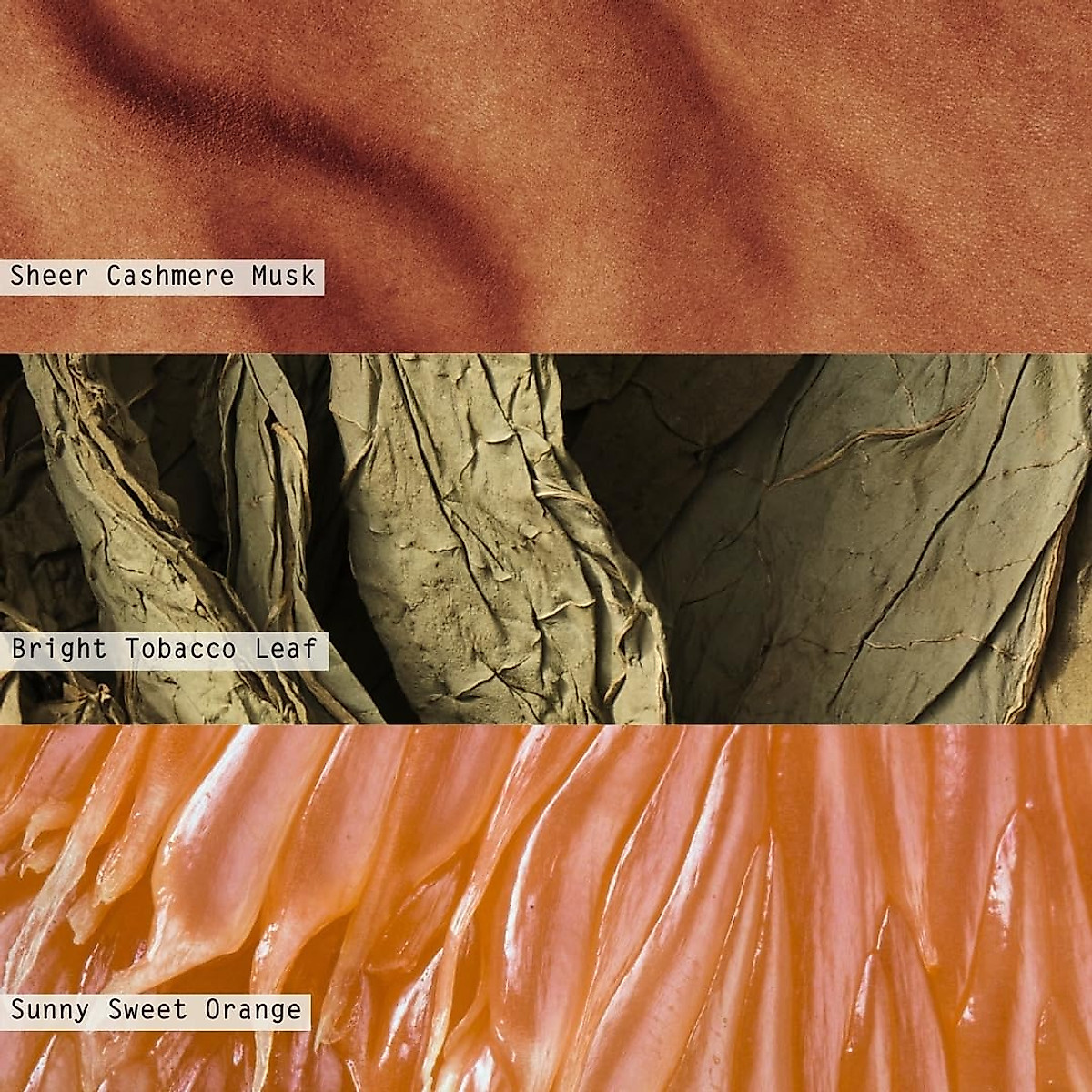 Illume Beautifully Done Essentials Terra Tabac Statement Glass Scented Soy Candle, 6" L x 3" W x 3" H