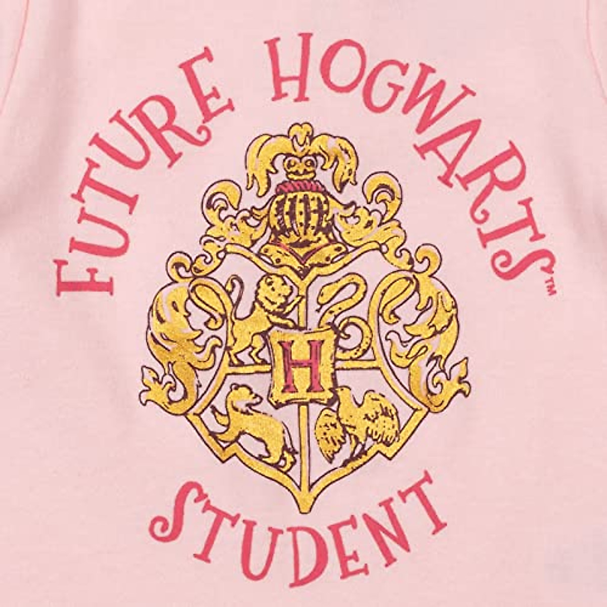 Harry Potter Infant Baby Girls Bodysuit Graphic T-Shirt Mesh Skirt and Leggings 4 Piece Layette Set 18 Months