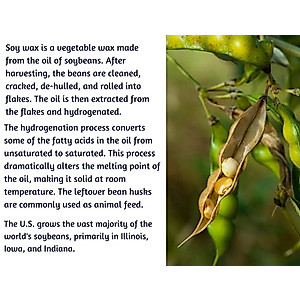 Soy Wax Melts| Made in USA | Plant Based Soy Wax | Amber and Sandalwood Soy Wax Cubes | 2 Packs | Net Weight 5 oz. (141 Grams) | 12 Scented Wax Cubes | Wax Cubes for Wax Warmer | Cozy Candlebox