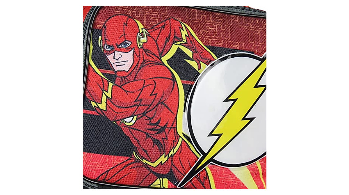 DC Comics The Flash Insulated Lunch Box for Fans