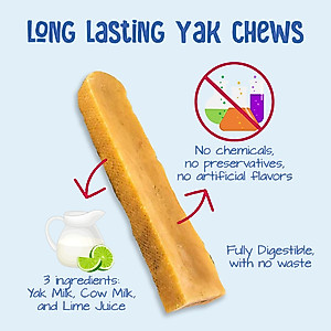 Yeti Dog Chew - Yak Cheese Himalayan Dog Chews - Healthy Long Lasting Dog Chews - Yak Chews for Large, Medium and Small Dogs - Yak Bones for Dogs - Natural Yak Cheese Dog Chews - Large, 7 oz