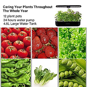 Luxbird Hydroponics Growing System, Indoor Herb Garden Starter Kit with LED Grow Light, Automatic Timer Smart Germination Kit for Kitchen Home Gardening, Height Adjustable (12 Pods)