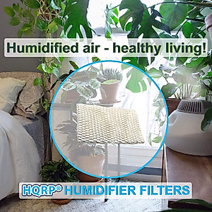 HQRP 4-Pack Wick Filter Compatible with Honeywell HCM750, HCM-750B, HCM750B, HCM-750-TGT, HCM750TGT Humidifiers, Replacement for HAC-700, HAC-700PDQ, HAC700PDQV1 Filter B