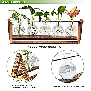 CFMOUR Plant Terrarium with Wooden Stand, Desktop Propagation Stations Glass Air Planter Metal Swivel Holder for Indoor Live Hydroponics Plants Office Home Garden Decor (5 Bulb Vase)