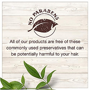 Garnier Hair Care Whole Blends Ginger Recovery Strengthening Shampoo, 22 Fluid Ounce