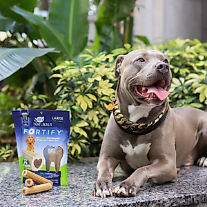 Ark Naturals Fortify Brushless Toothpaste, Dog Dental Chews for Large Breeds, Calcium Plus Omegas Support Strong Teeth and Immune Health, 18oz, 1 Pack