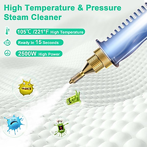 AUXCO Steam Cleaner, 1200ml High Pressure Steamer for Cleaning Handheld Steam Cleaner for Home,High-Temperature Steamer Cleaner for Car,Upholstery,Kitchen, Bathroom, Carpet，Grout and Tile(Mint)