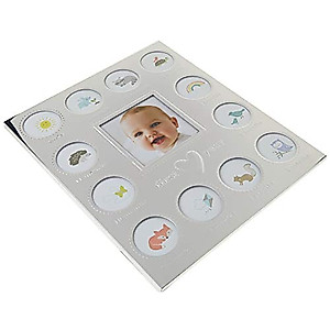 Carter's Baby's First Year Animal Theme Silver Metal Month by Month Picture Frame, 9.75" L x 11.75" H