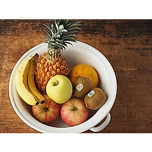 Noda Horo, TA-32, Small Enamel, 475273