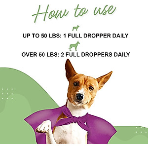 WONDER PAWS Liquid Glucosamine Drops Plus Milk Thistle Drops - for Dog Joint Health, Mobility Support, Liver, Detox & Overall Wellness – Liquid Glucosamine 16 Ounces - Milk Thistle 2 Ounces