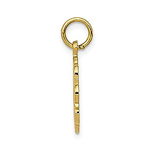 IceCarats 14K Yellow Gold Registered Nurse Caduceus Paramedic Rn Doctor Medical Student Nursing Symbol Necklace Charm Pendant 20mm x 12mm Only