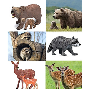 Forest Animals Figurines Toys, 10PCS Realistic Plastic Wild Woodland Animals Figures Playset, Cake Toppers Birthday Gift for Kids Children Toddlers