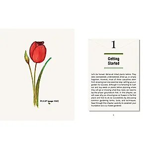 Flower Gardening for Beginners: A Guide to Growing and Maintaining a Cut-Flower Garden