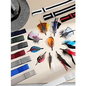 Breathffy 24 Pcs Stretchable Hat Bands Natural Assorted Hat Feathers Hat Ribbons for Panama Hat Western Costume Headwear (Classic)
