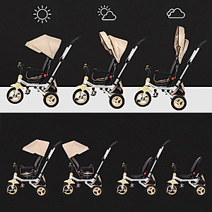 SZNWJ Ygqtbc Children's Tricycle,Children's Tricycle Bicycle Baby Stroller 1-5 Years Old Baby Stroller Child 3 Wheel Bicycle,Protective Awning(Color : Gold)
