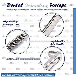 DDP Dental Tooth Extraction Forcep 106 Dentist Lab Tools Stainless Steel